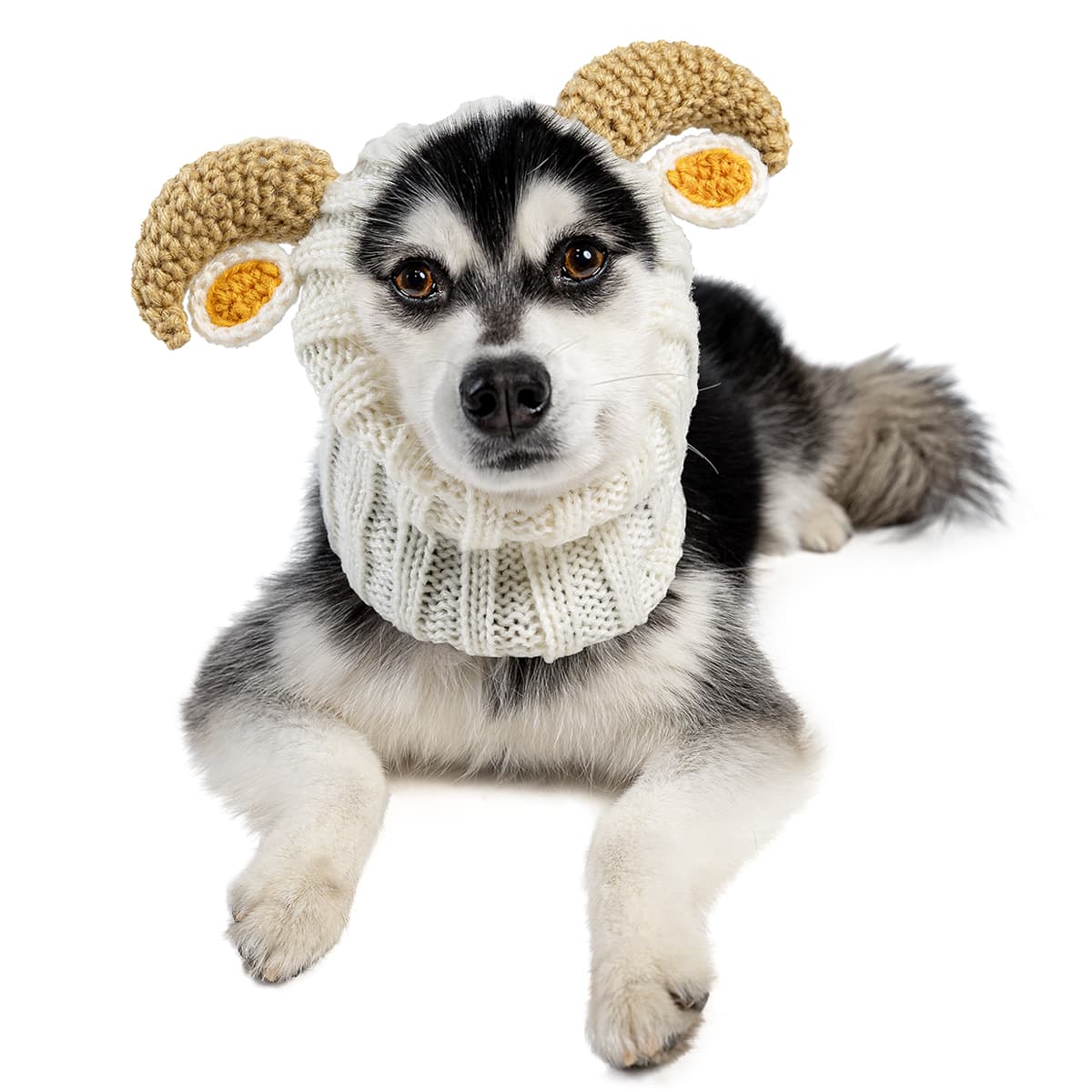 Goat Zoo Snood - The Viral Cute Crochet Dog Snood Costume to Keep Warm ...
