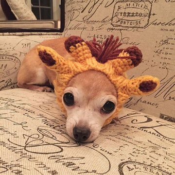 Size Guide – Zoo Snoods