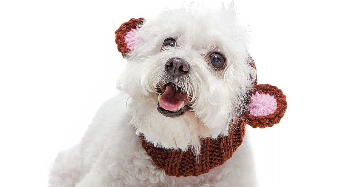 Monkey Zoo Snood - The Viral Cute Crochet Dog Snood Costume to Keep ...