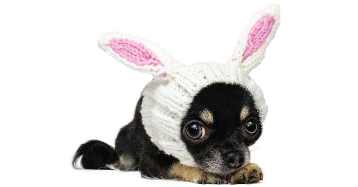 Bunny Rabbit Zoo Snood - The Viral Cute Crochet Dog Snood Costume to ...