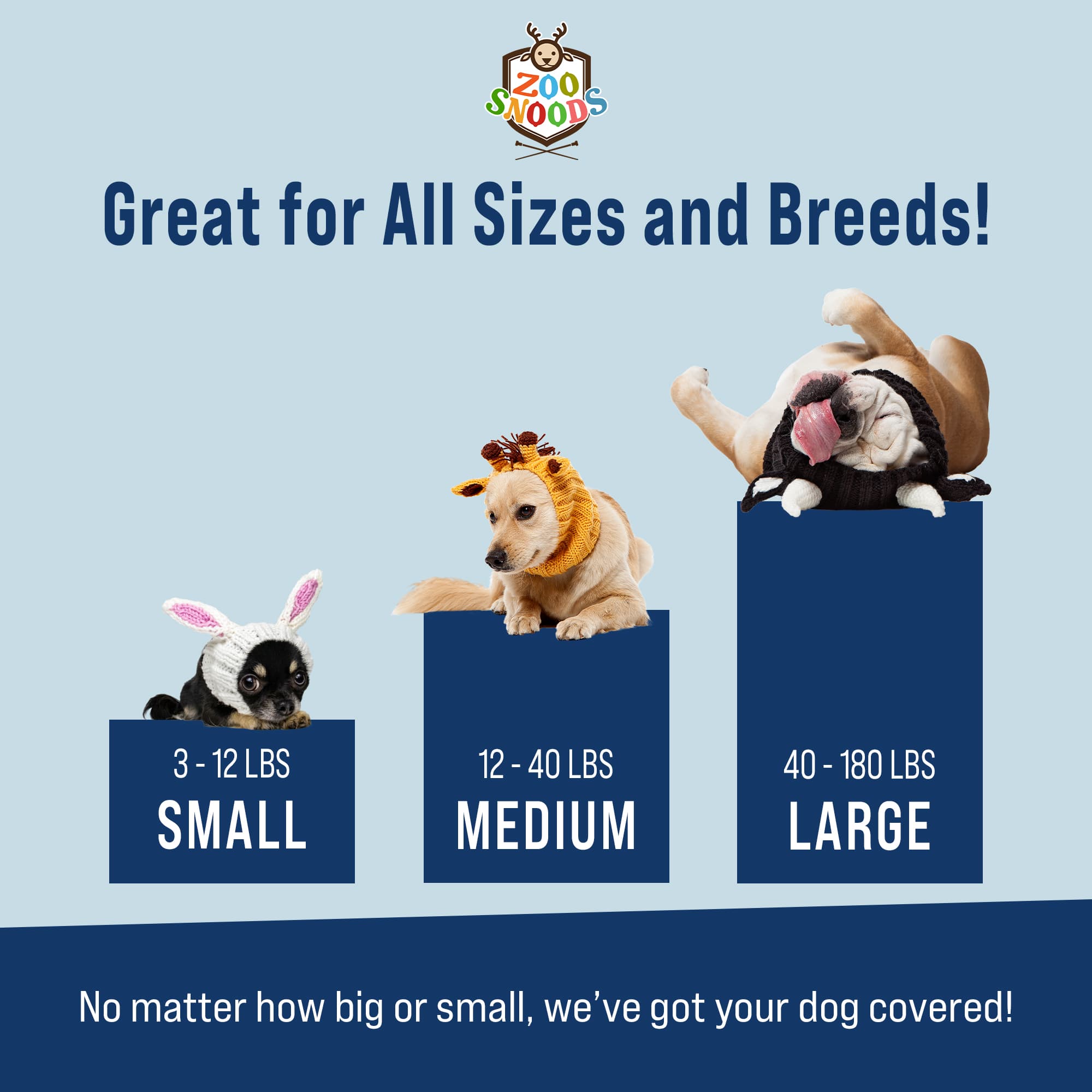 Panda Zoo Snood - The Viral Cute Crochet Dog Snood Costume to Keep Warm ...