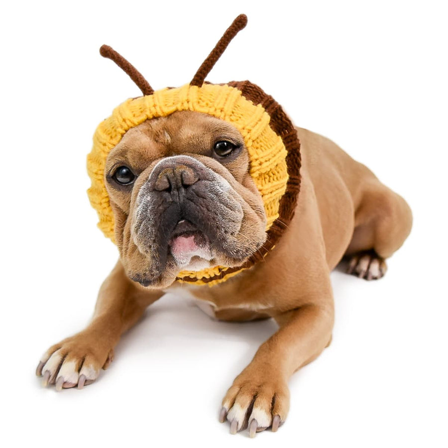 Unique Dog Snoods for Small, Medium and Large Dogs – Zoo Snoods