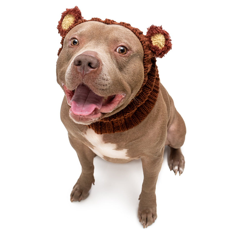 Shop the Best Quality Dog Sweaters and Snoods for Small, Medium and ...