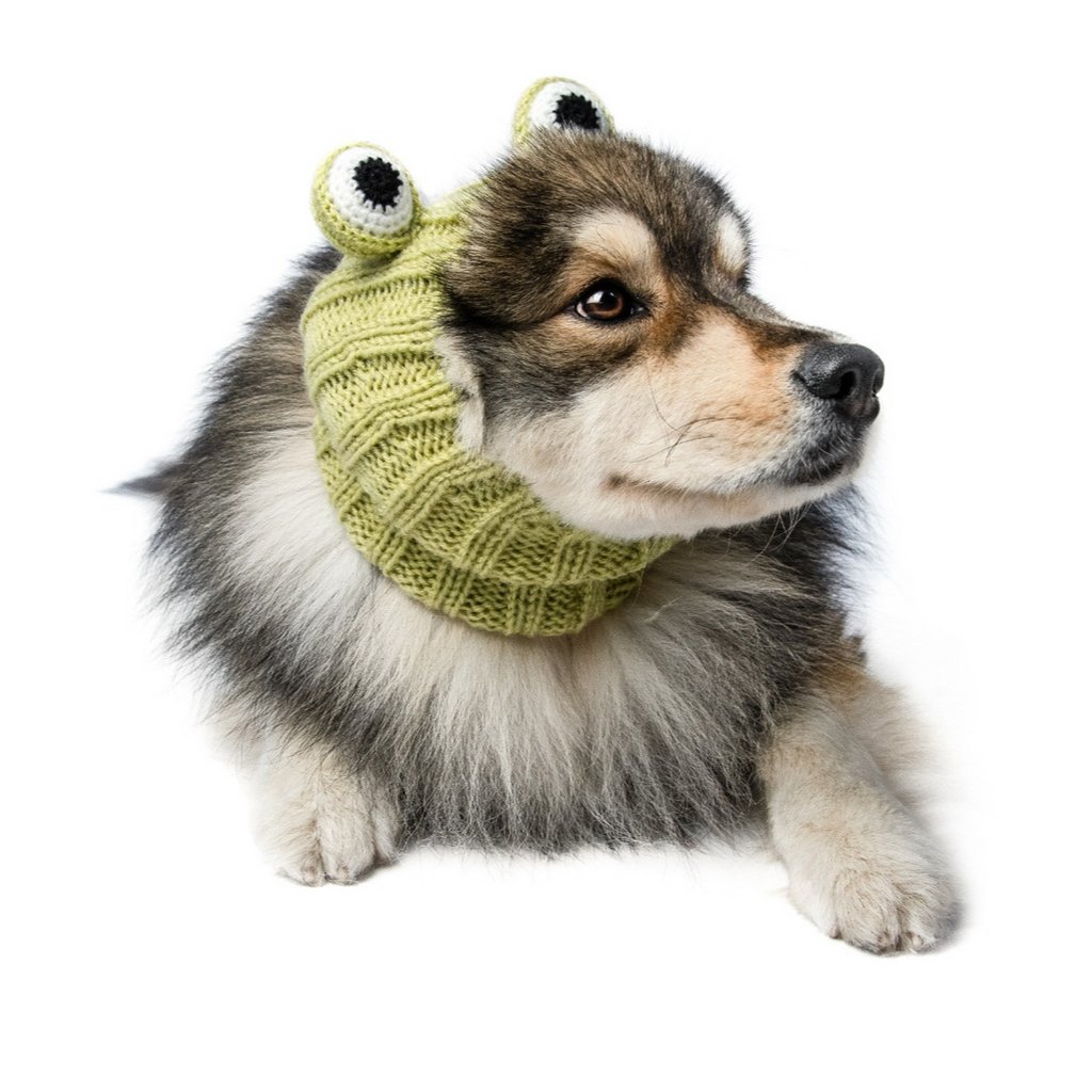 Frog Snood - The Perfect Dog Snood for Small, Medium and Large Dogs ...