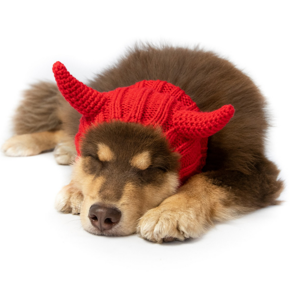Unique Dog Snoods for Small, Medium and Large Dogs – Zoo Snoods