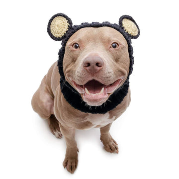 Grizzly Bear Snood - The Perfect Dog Snood for Small, Medium and Large ...