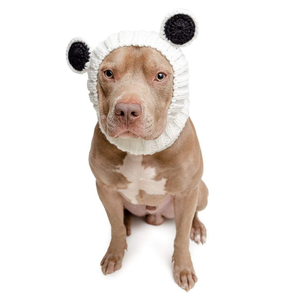 Panda Bear Snood - The Perfect Dog Snood for Small, Medium and Large ...