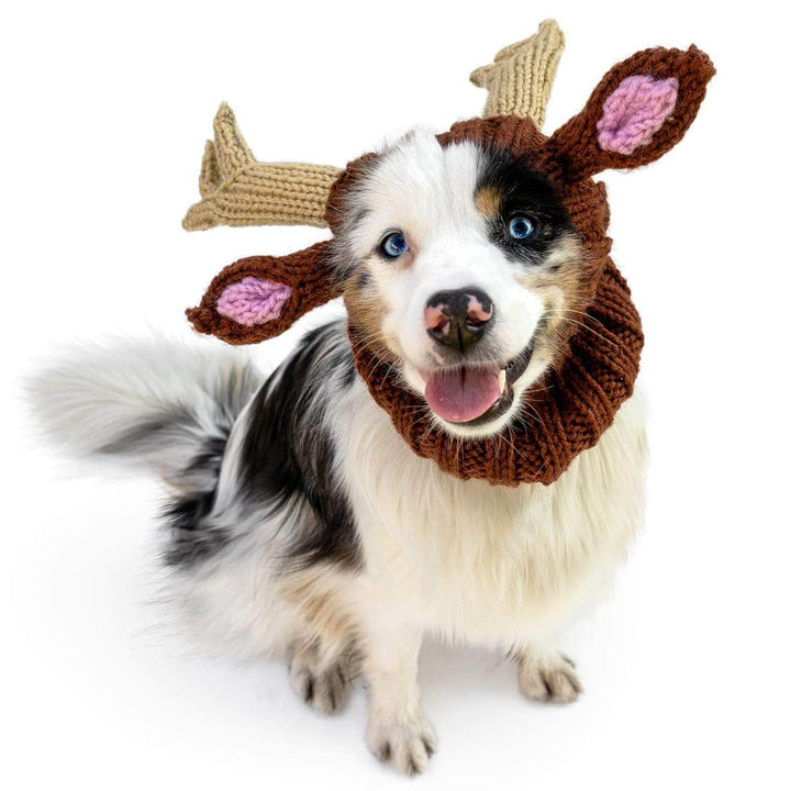 Panda Bear Snood - The Perfect Dog Snood for Small, Medium and Large ...