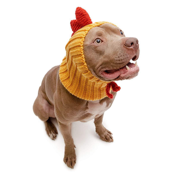 Rooster Snood - The Perfect Dog Snood for Small, Medium and Large Dogs ...
